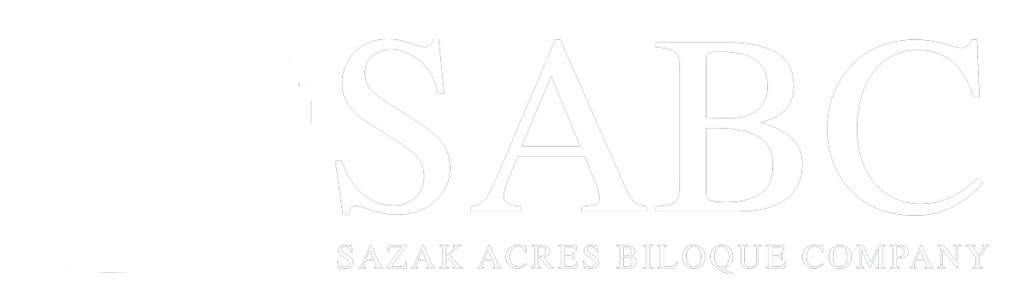 SABC construction insights blog | Trends & Projects